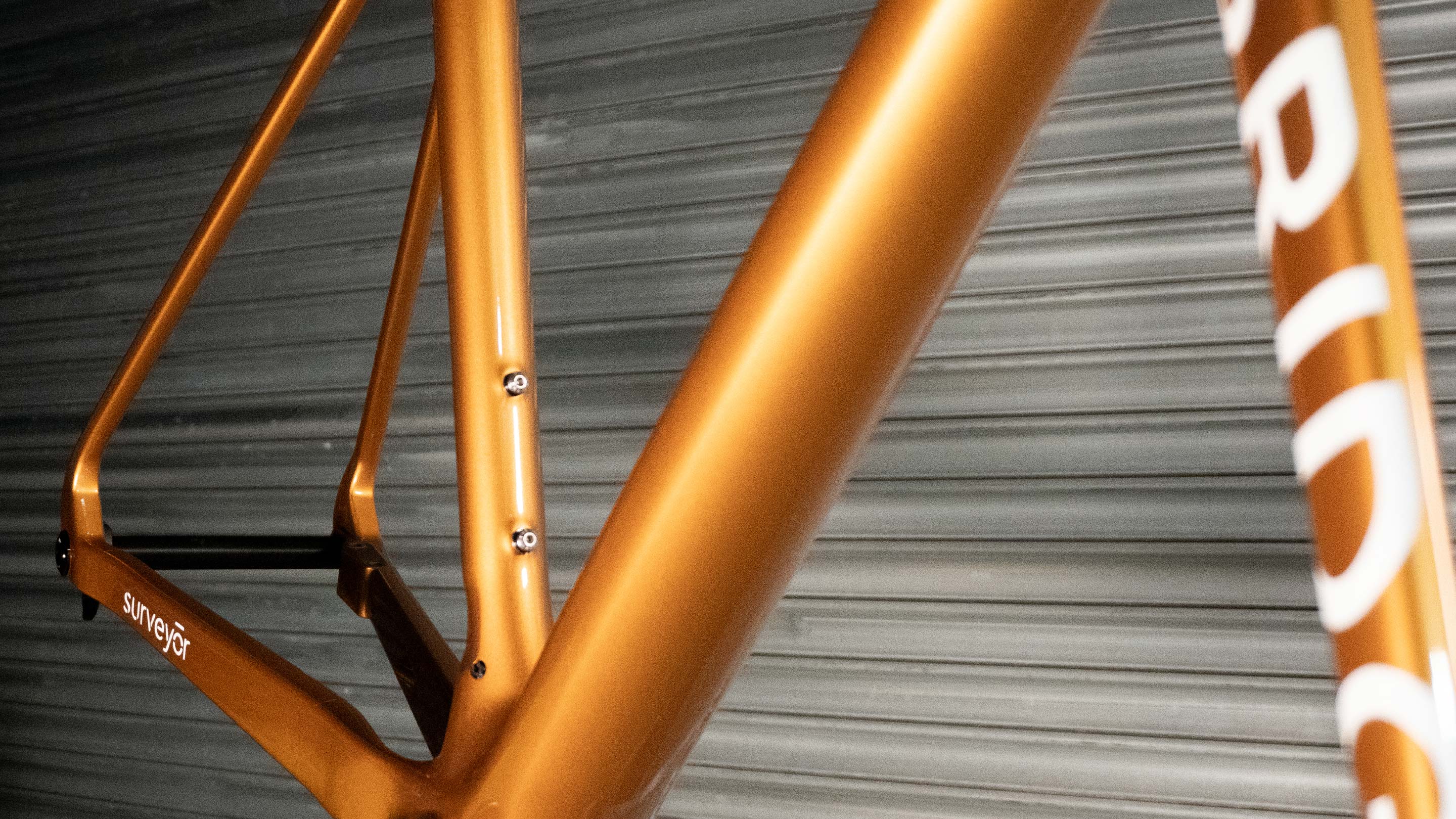NEW BIKE DAY - GOLD MANGO METALLIC – BRIDGE Bike Works