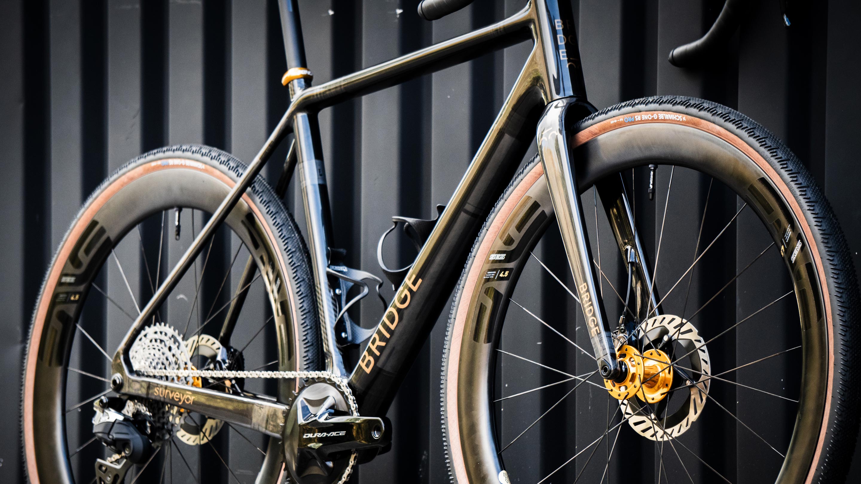 NEW BIKE DAY - KING'S GOLD – BRIDGE Bike Works